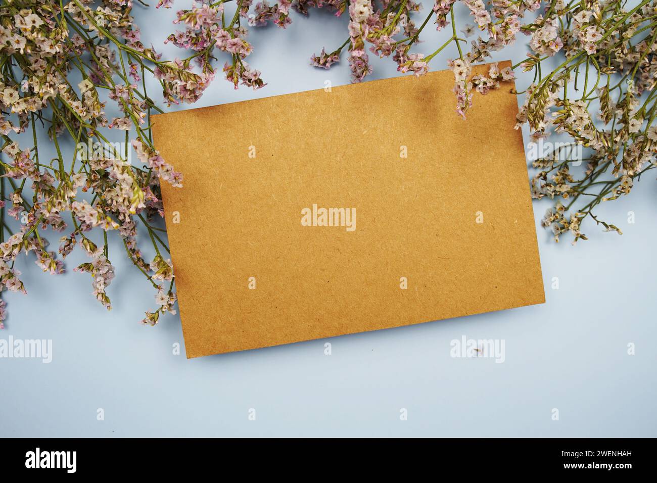 Empty card for text message and flower decoration on blue background ...