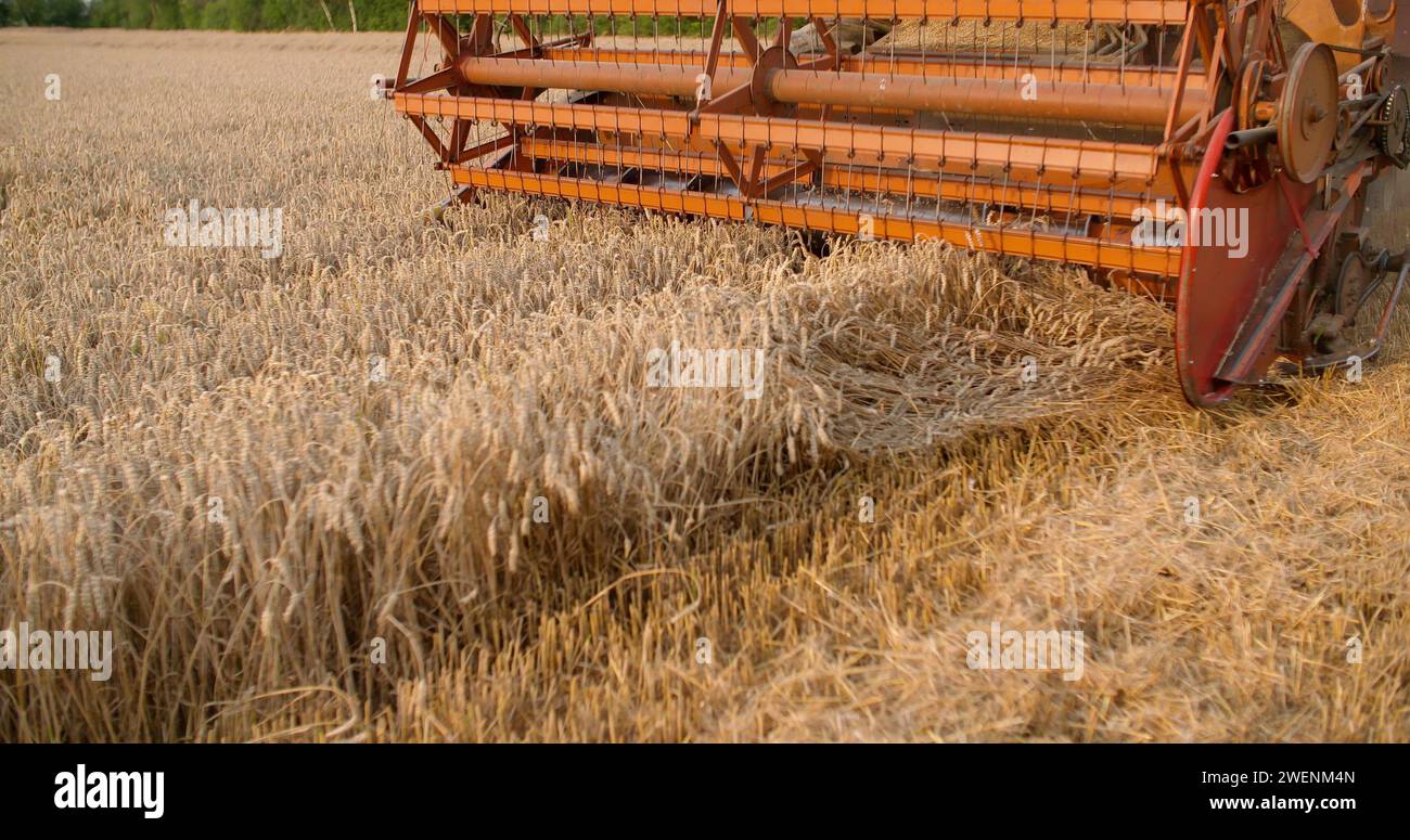 Harvesting. Combine Harvester harvesting wheat Stock Photo - Alamy