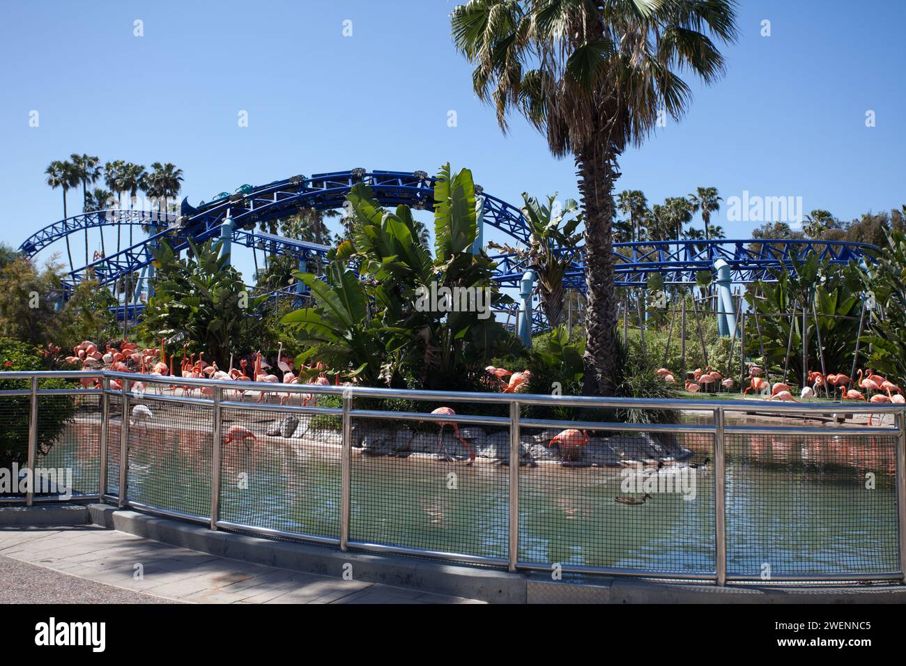 Scariest rollercoasters hi-res stock photography and images - Alamy