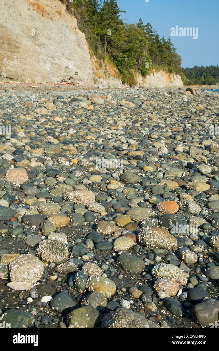 Isthmus Beach, Indian Island Park, Jefferson County, Washington Stock ...
