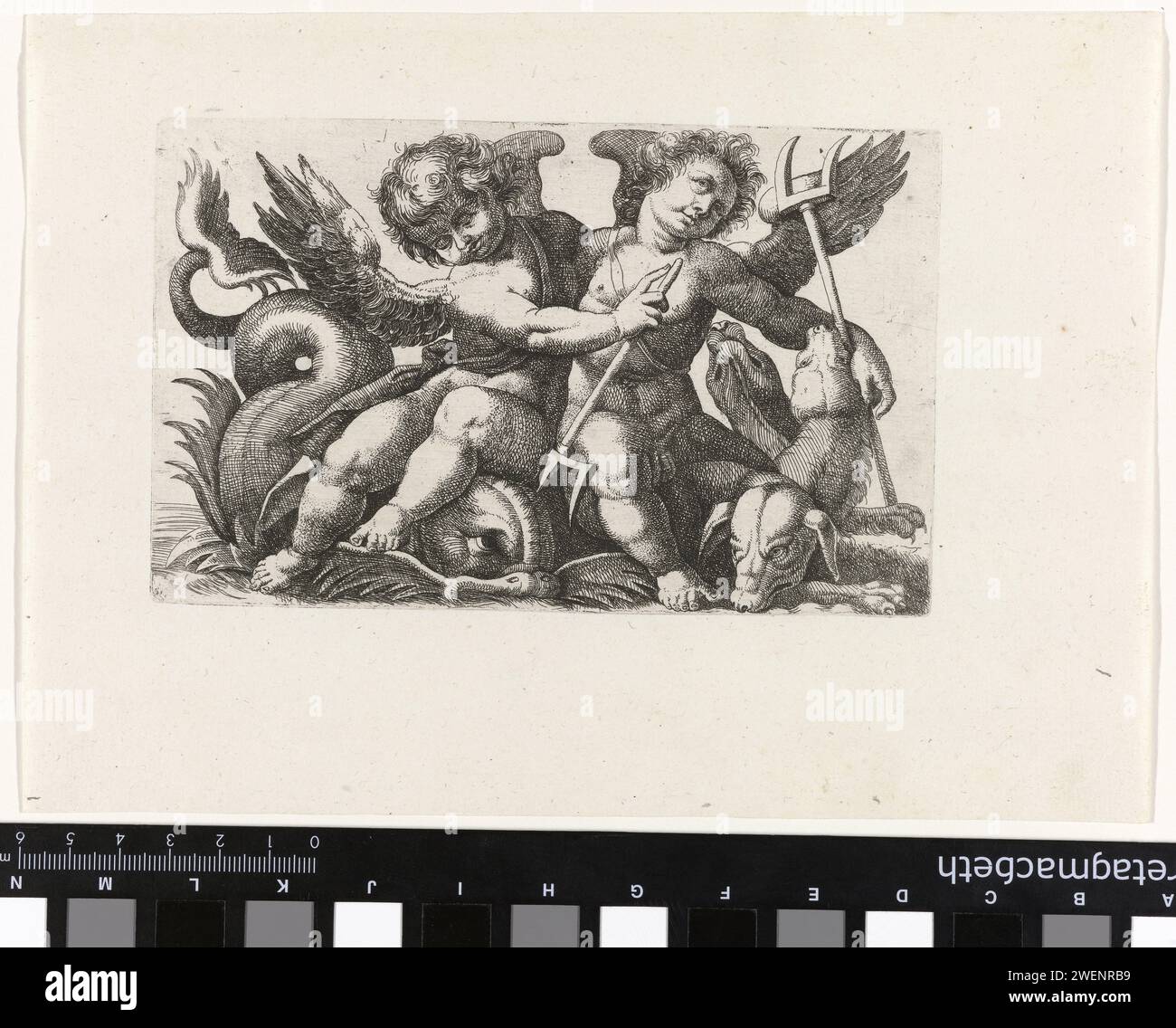 Putto with trident on dolphin and putto with tweetand on three -headed ...