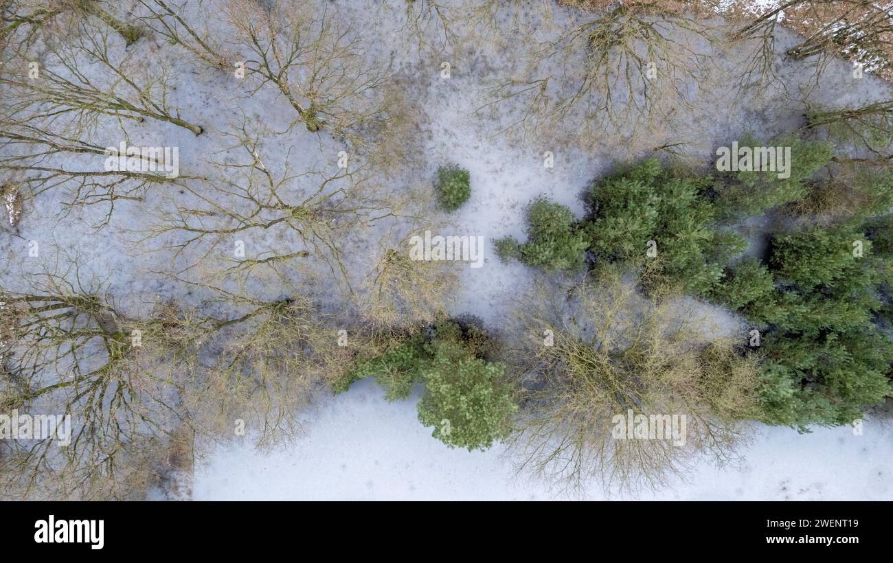 This aerial view captures the serene beauty of a wintery forested area ...