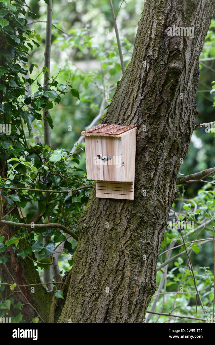 Bat box sourounded by trees hi-res stock photography and images - Alamy