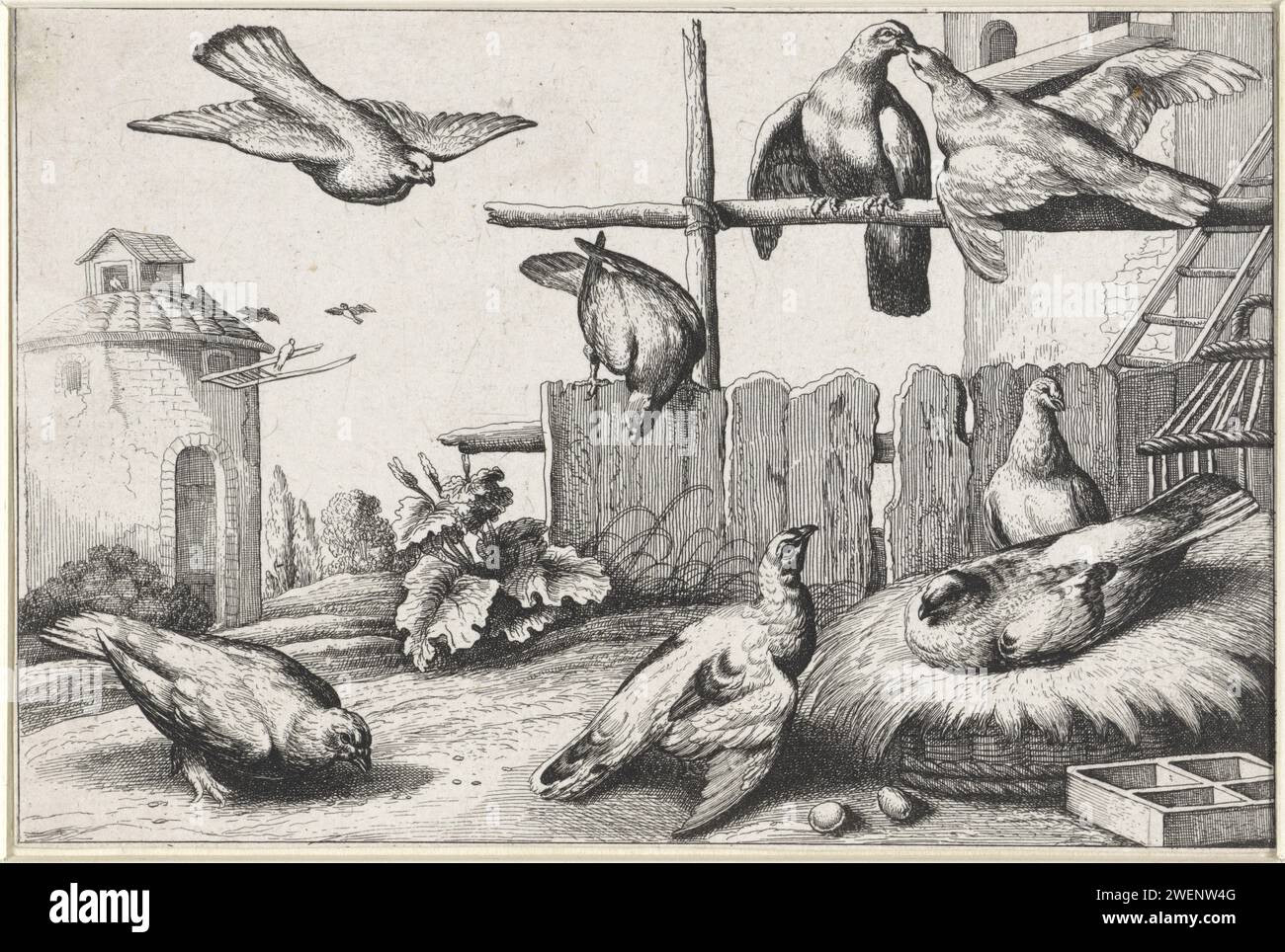 Duiven at a pigeon, anonymous, After Wenceslaus Hollar, after Francis ...