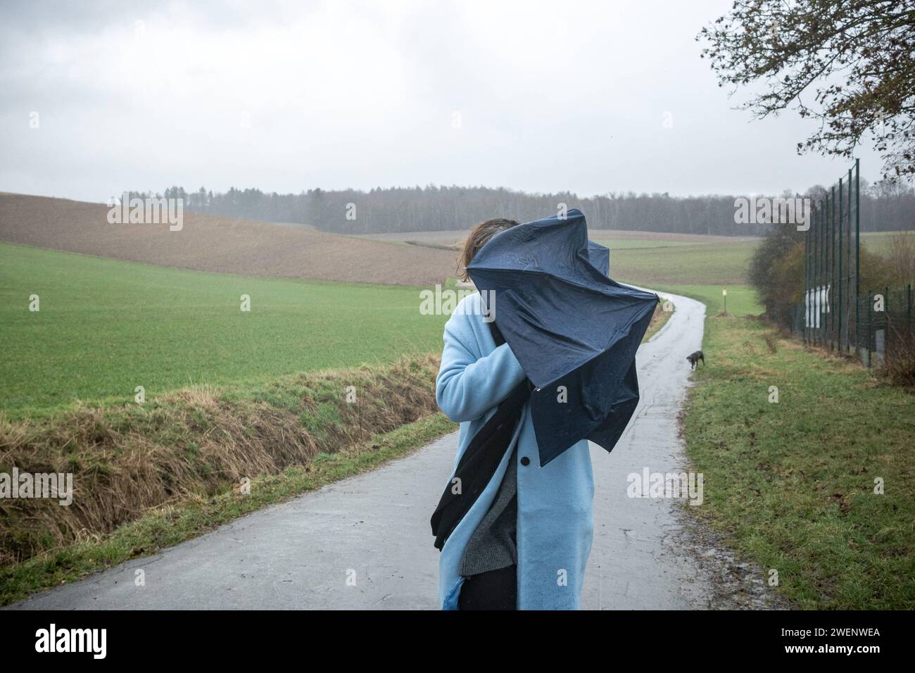 Spaziergang im Sturm: Frau und Hund trotzen Regen und Wind 26.01.2024 ...