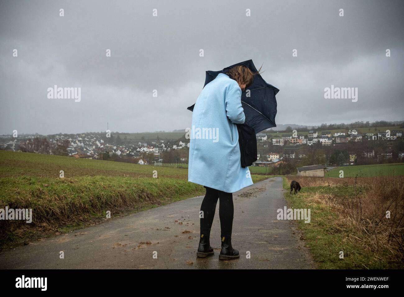 Spaziergang im Sturm: Frau und Hund trotzen Regen und Wind 26.01.2024 ...