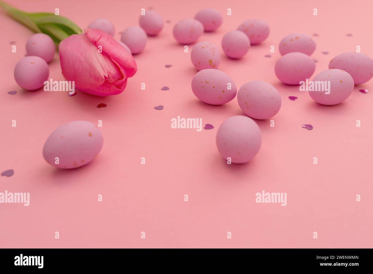 Easter card. Bright pink chocolate eggs scattered on pink background ...