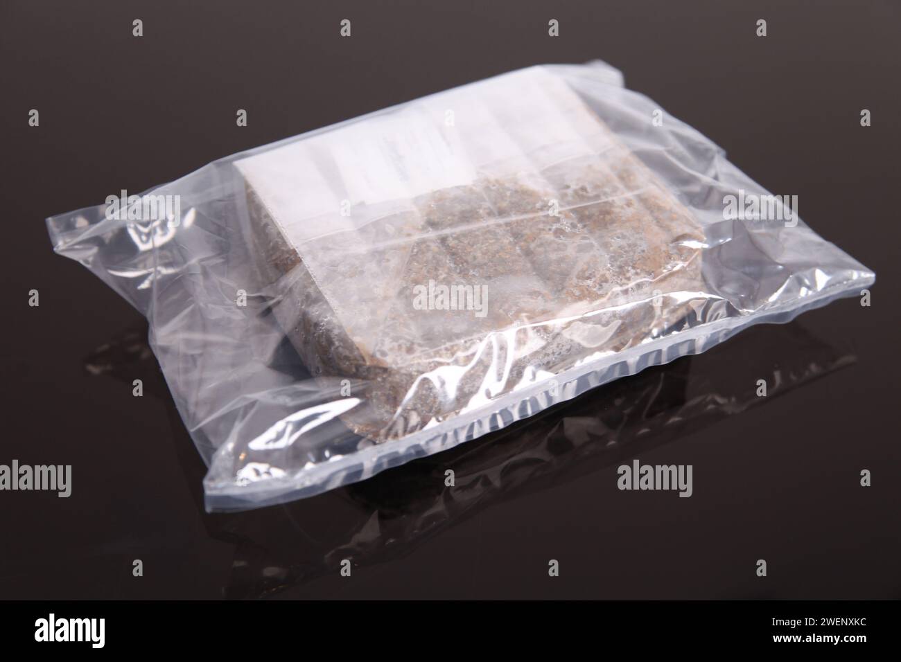 Mycology, growing mushrooms, inject and forget grow kit bag Stock Photo ...