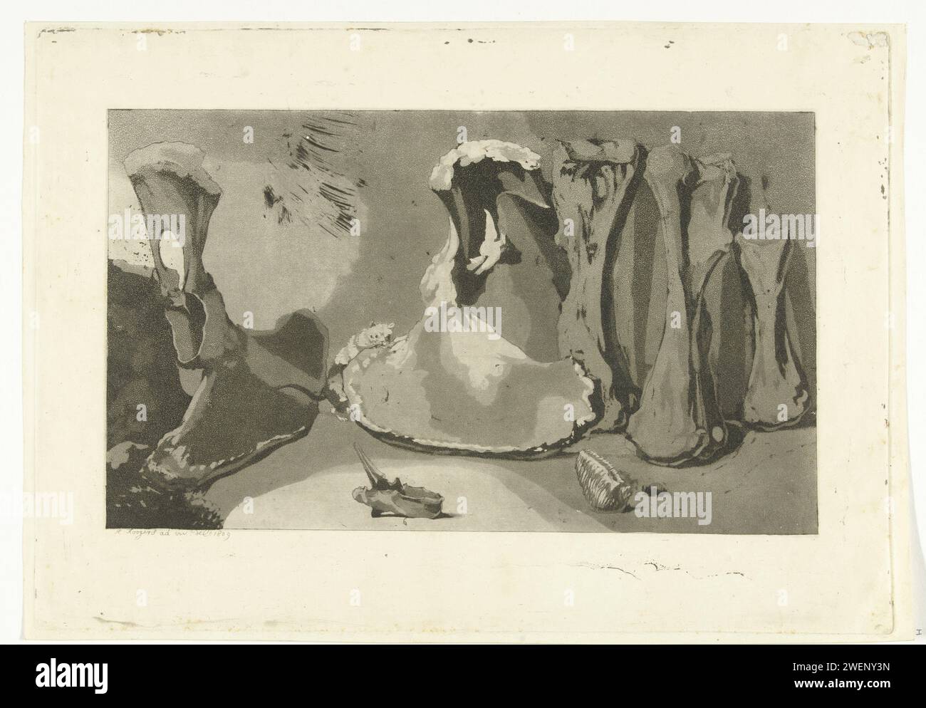 Washed -up bones, Anthonie van den Bos, after Hendrik Hoogers, 1809 ...