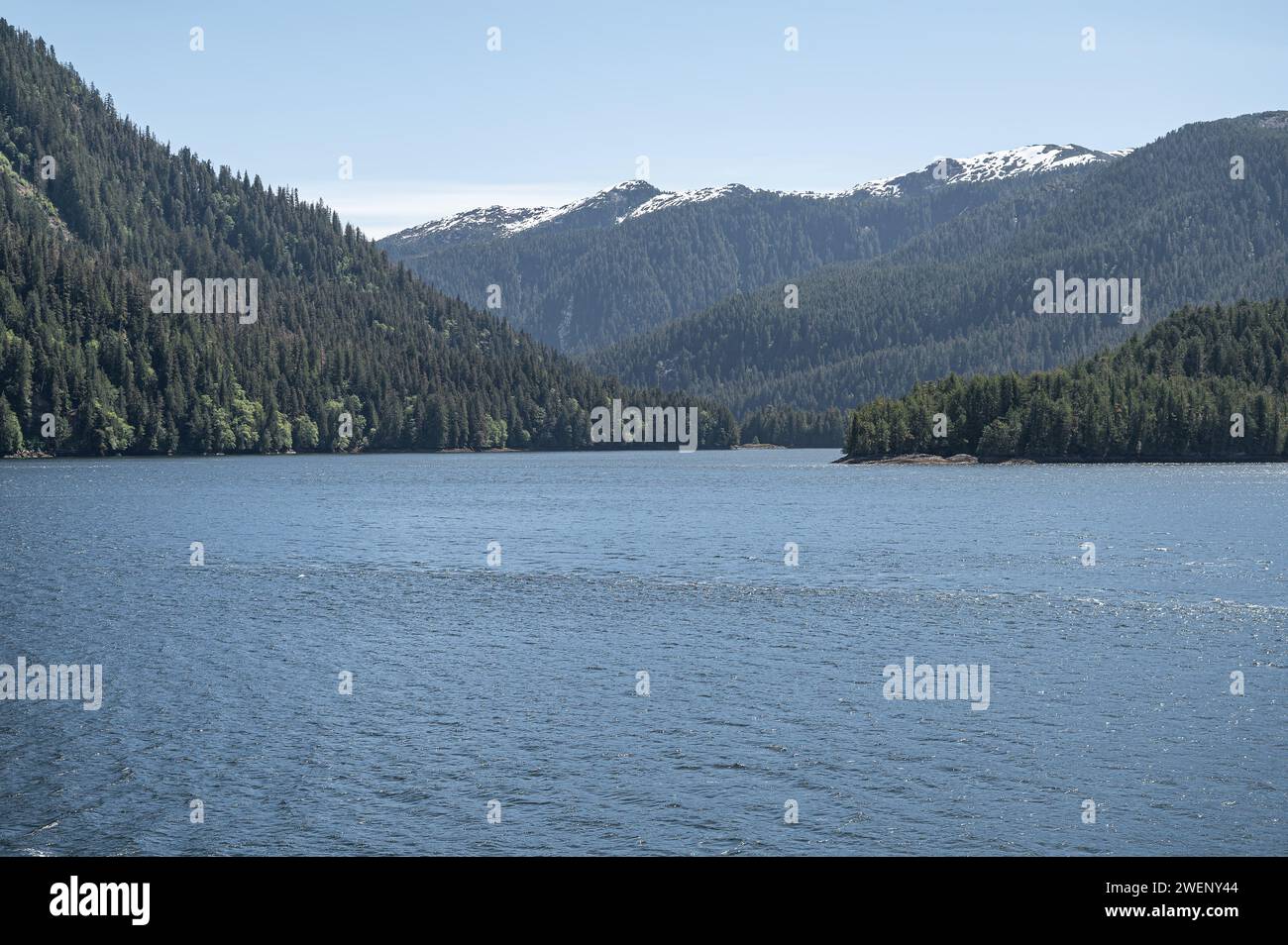 Princess royal island hi-res stock photography and images - Alamy