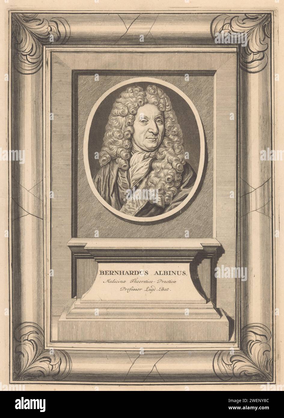Portret van Bernhard Albinus-Weiss, anonymous, 1715 - 1730 print ...