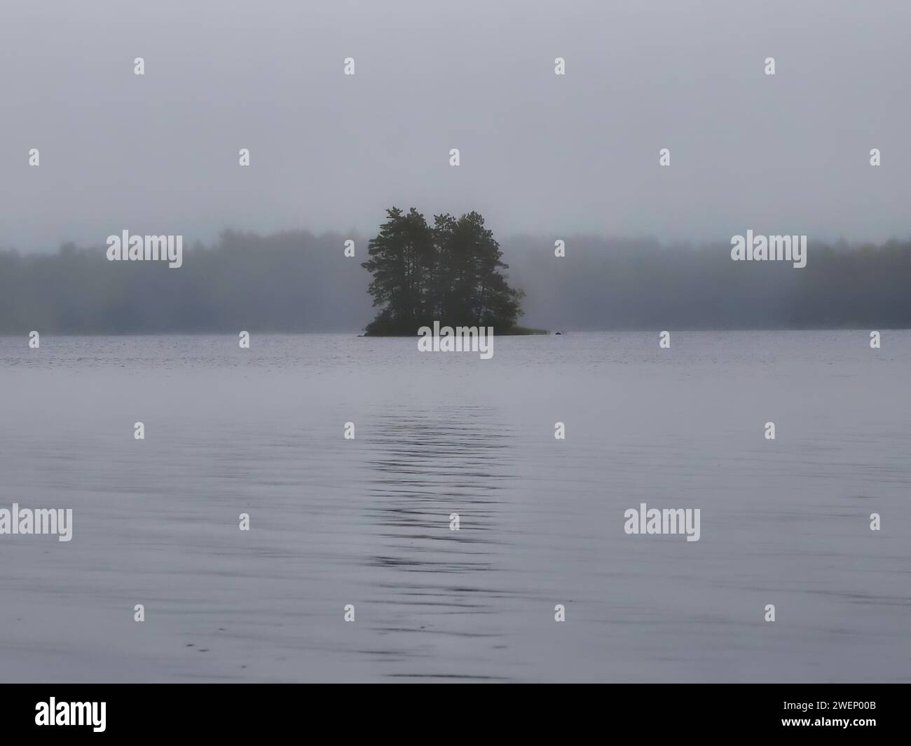Morning mist over water with island, grey tone Stock Photo - Alamy