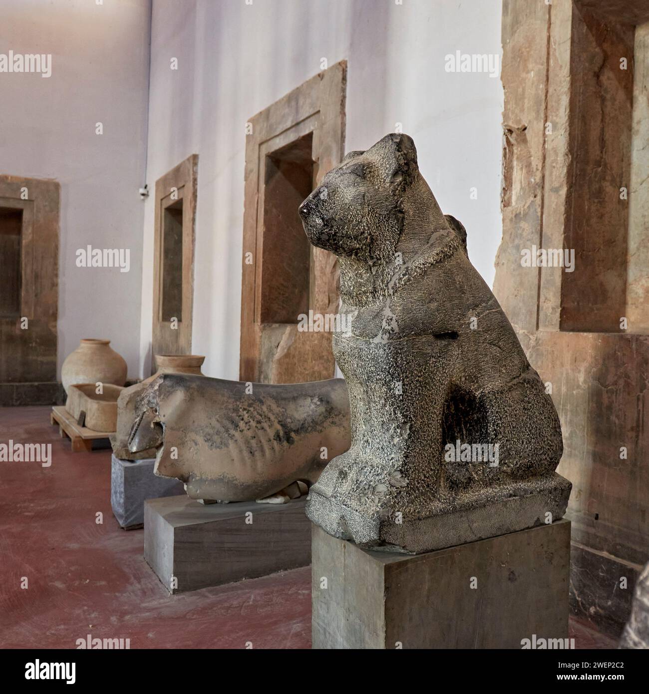 Interior of palace persepolis hi-res stock photography and images - Alamy