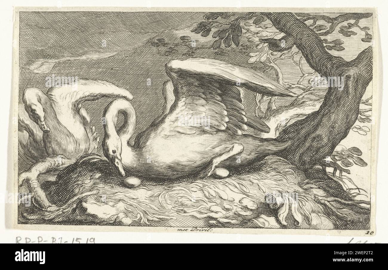 Two Zwanen, Frederick Bloemaert, After Abraham Bloemaert, After 1635 ...