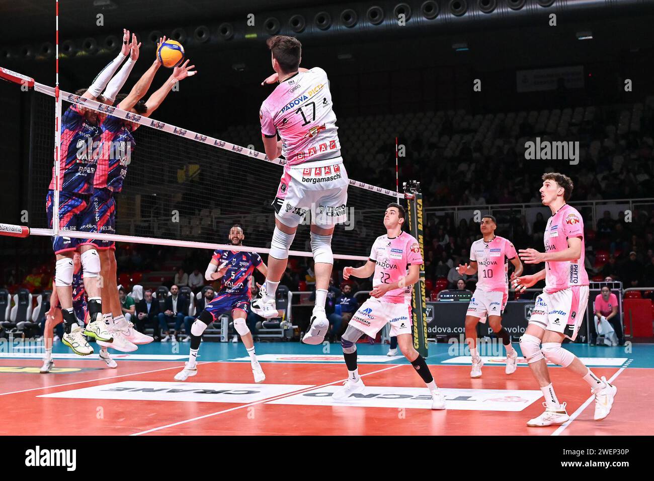 Padova, Italy. 25th Jan, 2024. Spike of Luca Porro ( Pallavolo Padova ...