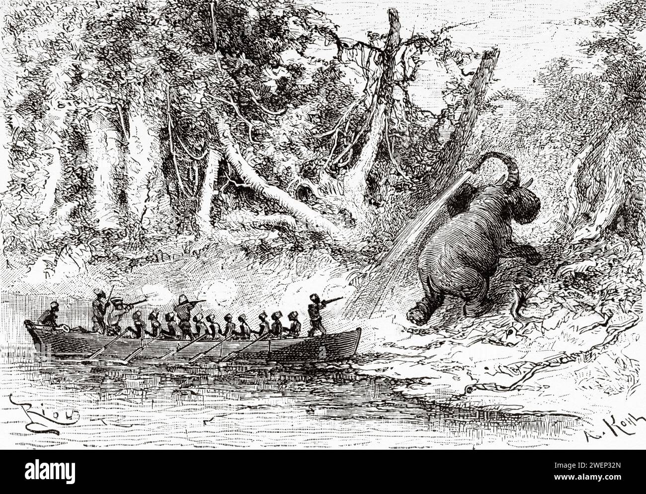 Members of the expedition attacking an elephant in the Ituri River ...