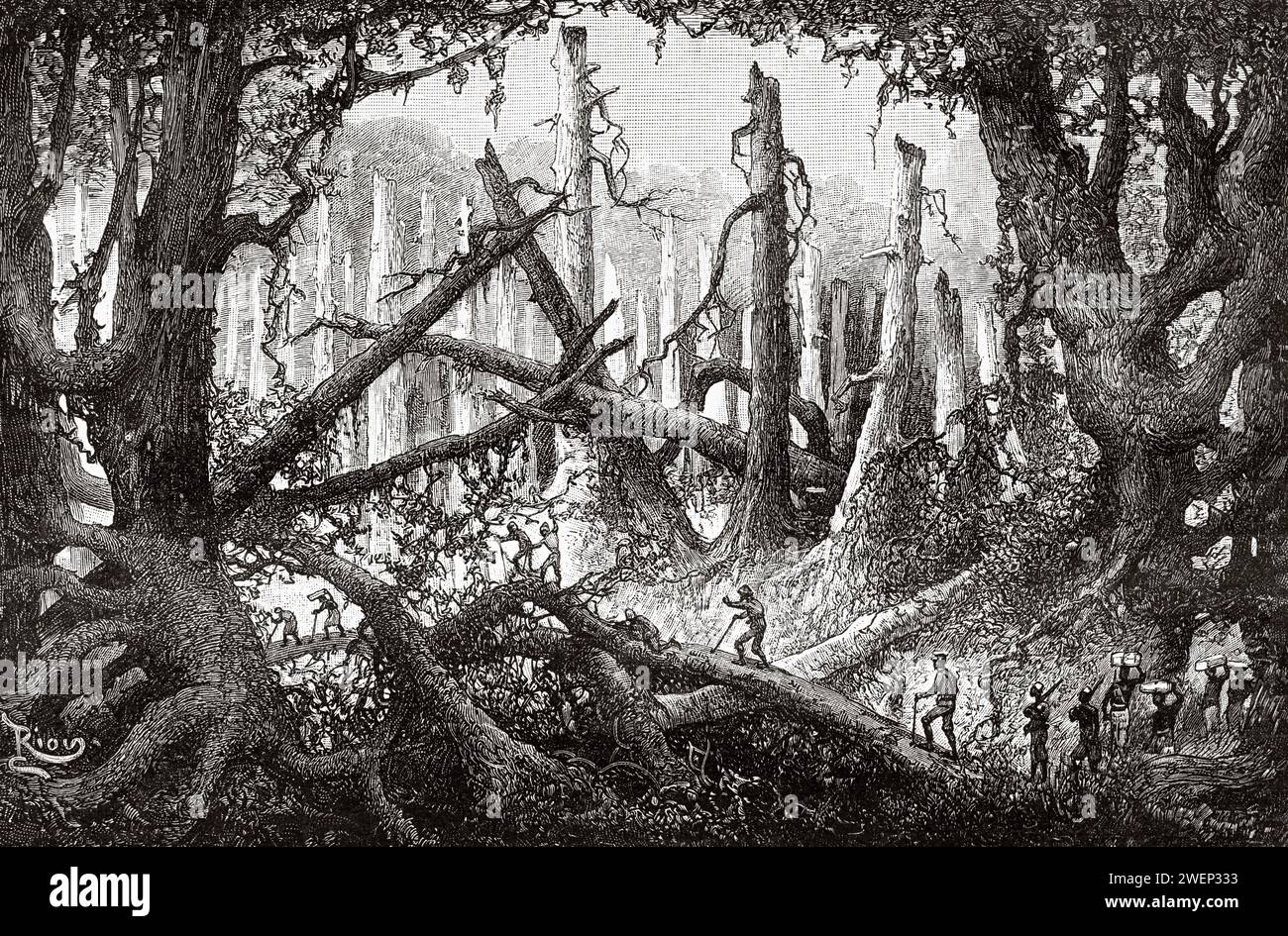 Stanley and his men crossing a dangerous forest clearing. Africa. Emin ...