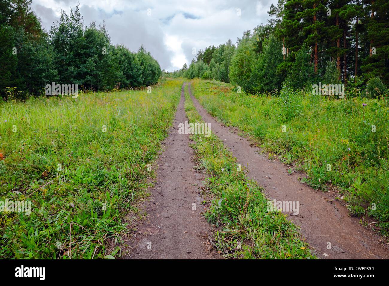 Rural road goes on toop of the Mount Tserkovka. Rural Russian landscape ...