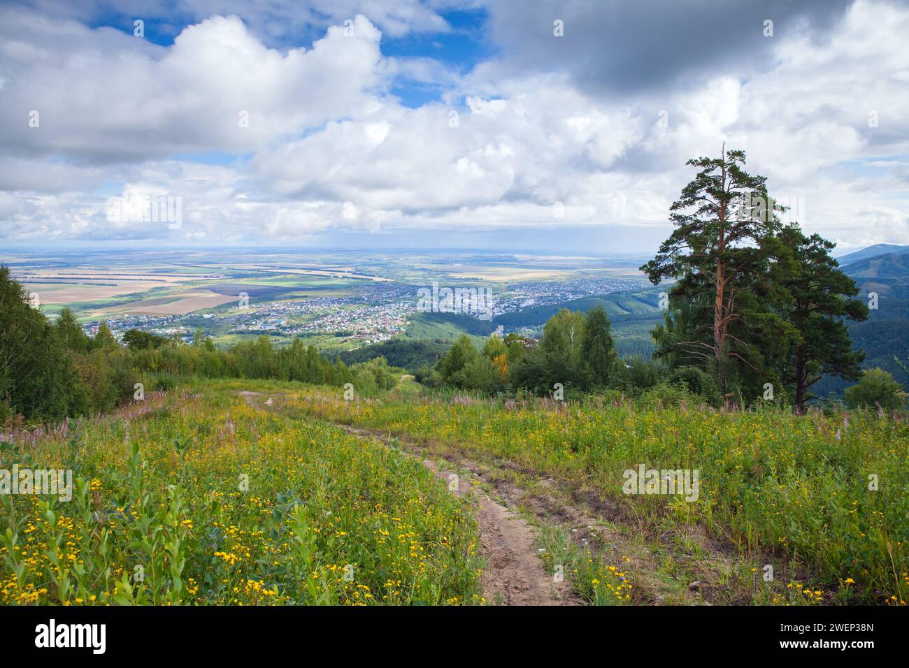 Siberian landscape with Belokurikha town on a background. Summer photo ...