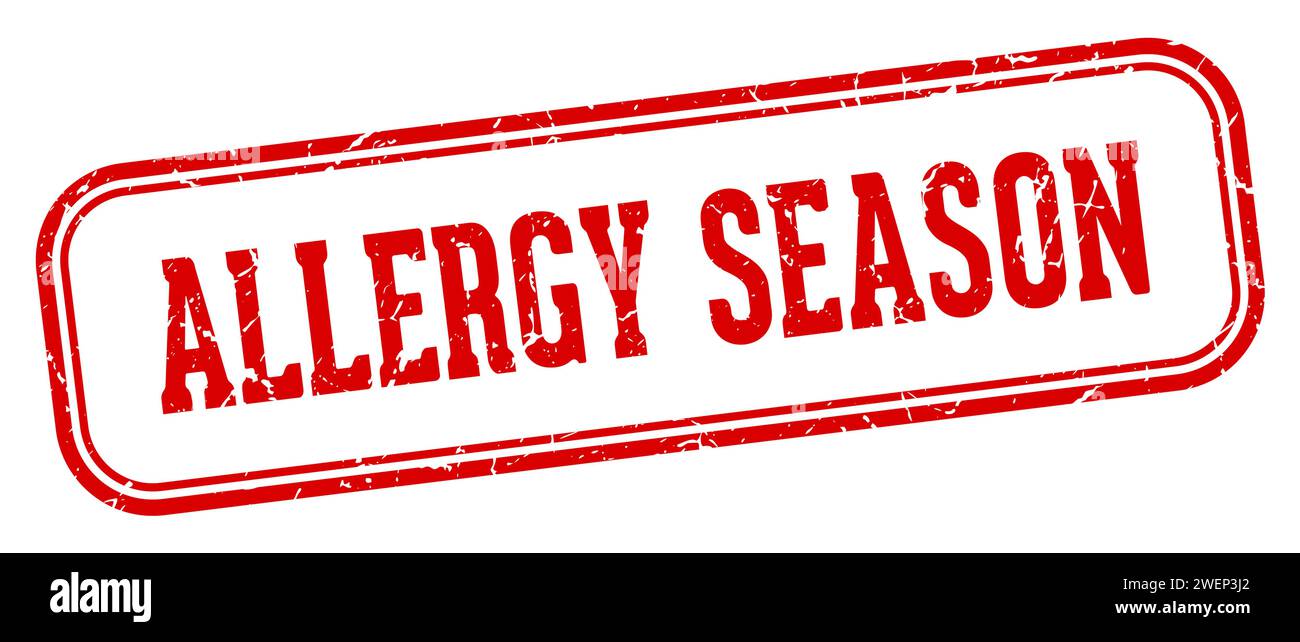 allergy season stamp. allergy season rectangular stamp isolated on ...