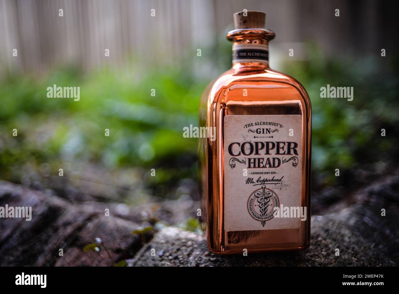 Gin tonic bottle Stock Photo - Alamy