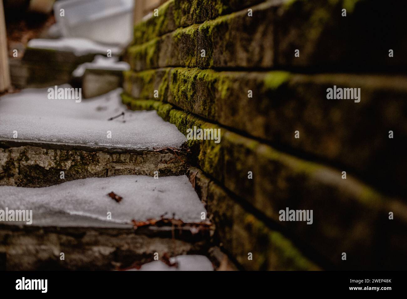 Moss-covered stairs adjacent to a unique staircase Stock Photo - Alamy