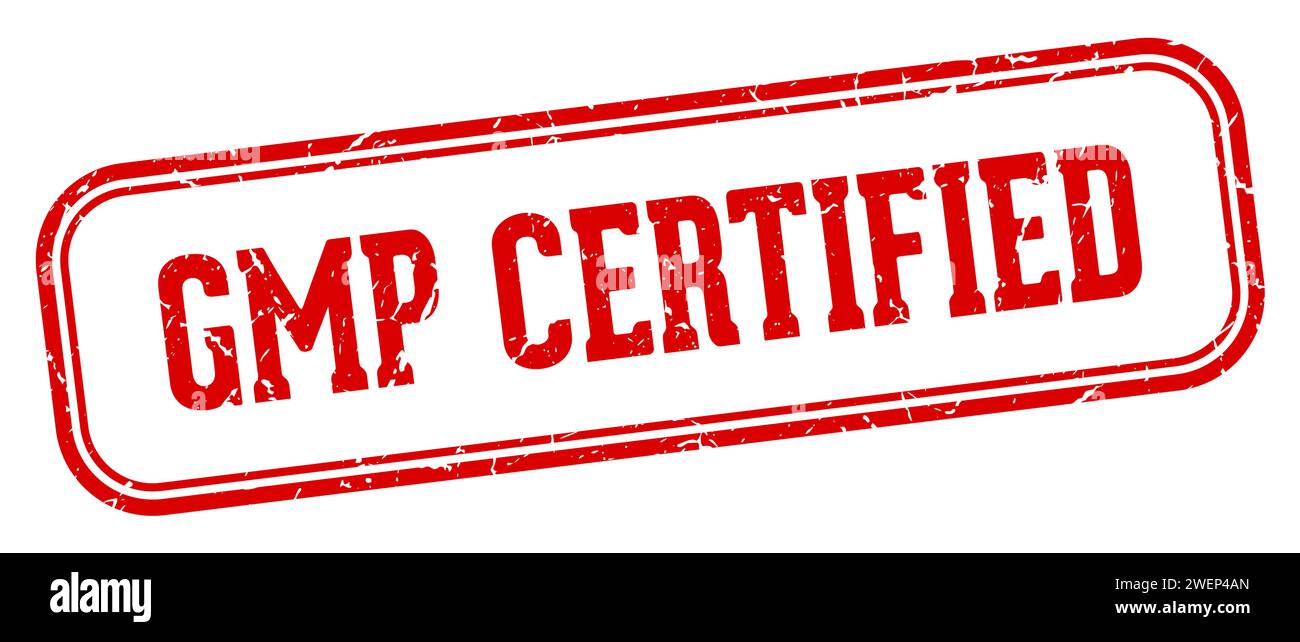 gmp certified stamp. gmp certified rectangular stamp isolated on white ...