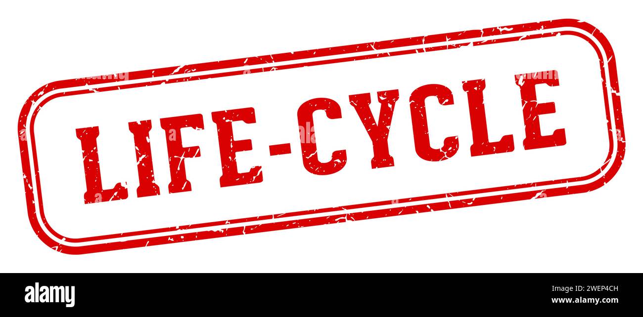 life-cycle stamp. life-cycle rectangular stamp isolated on white ...