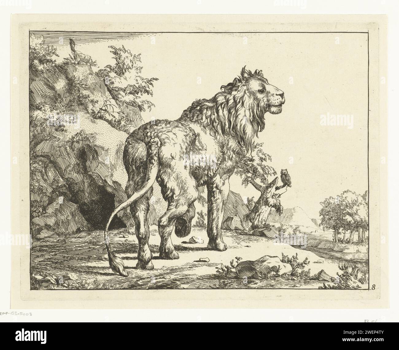 Standing lion, seen from behind, the head aside, Marcus de Bye, After ...