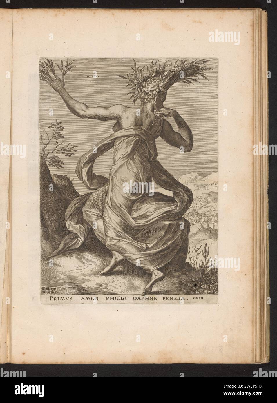 Daphne, Cornelis Cort, after Frans Floris (I), 1564 print The Nymph ...