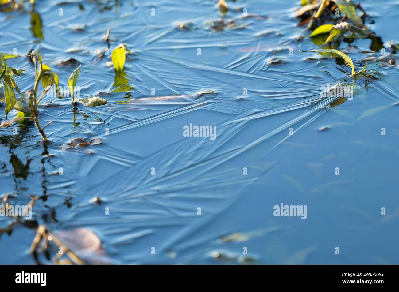 Lines and angles appear in the ice formed after a sudden freeze in ...