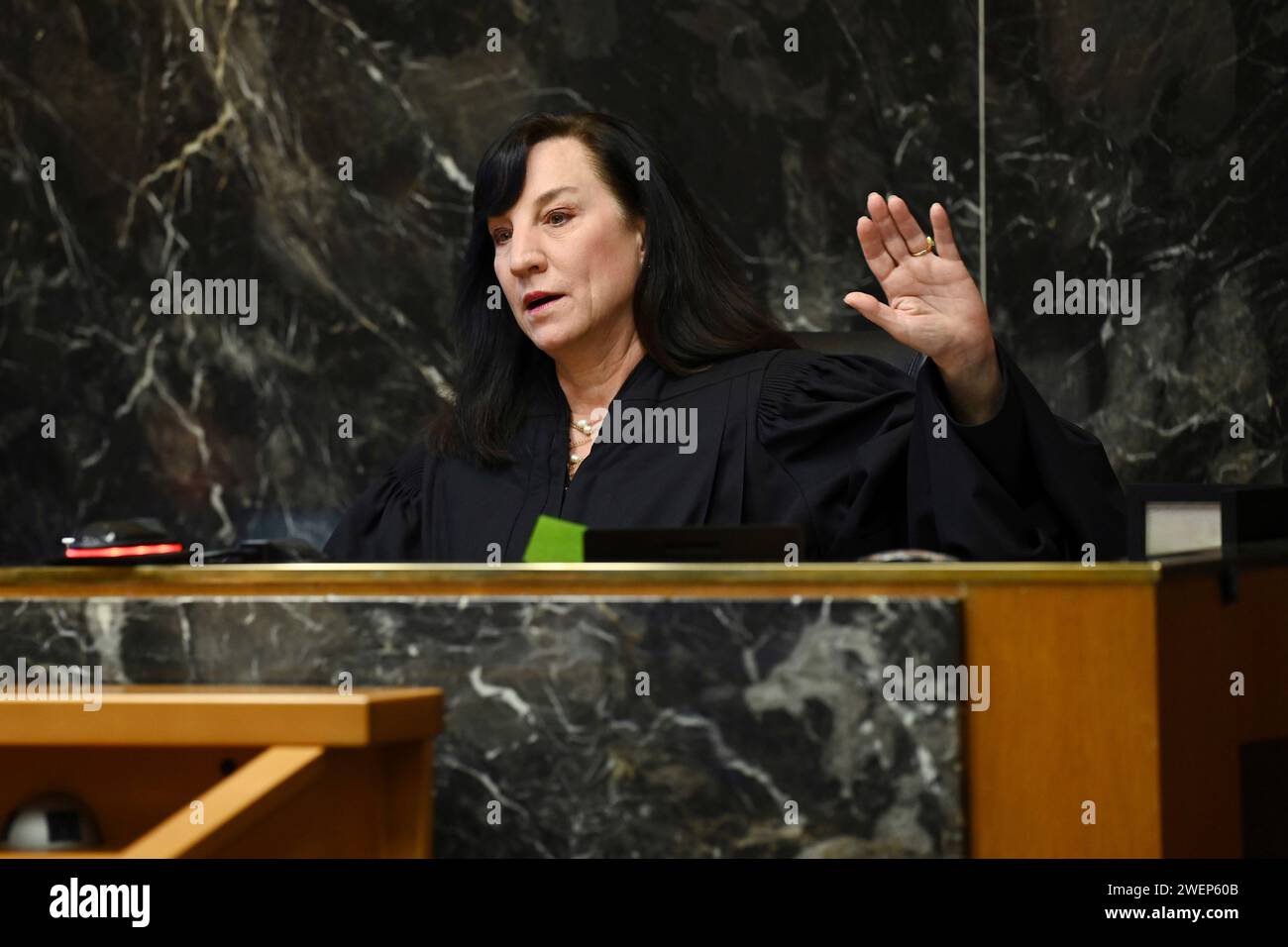 Judge Cheryl Matthews, listens to the arguments on the admissibility of ...