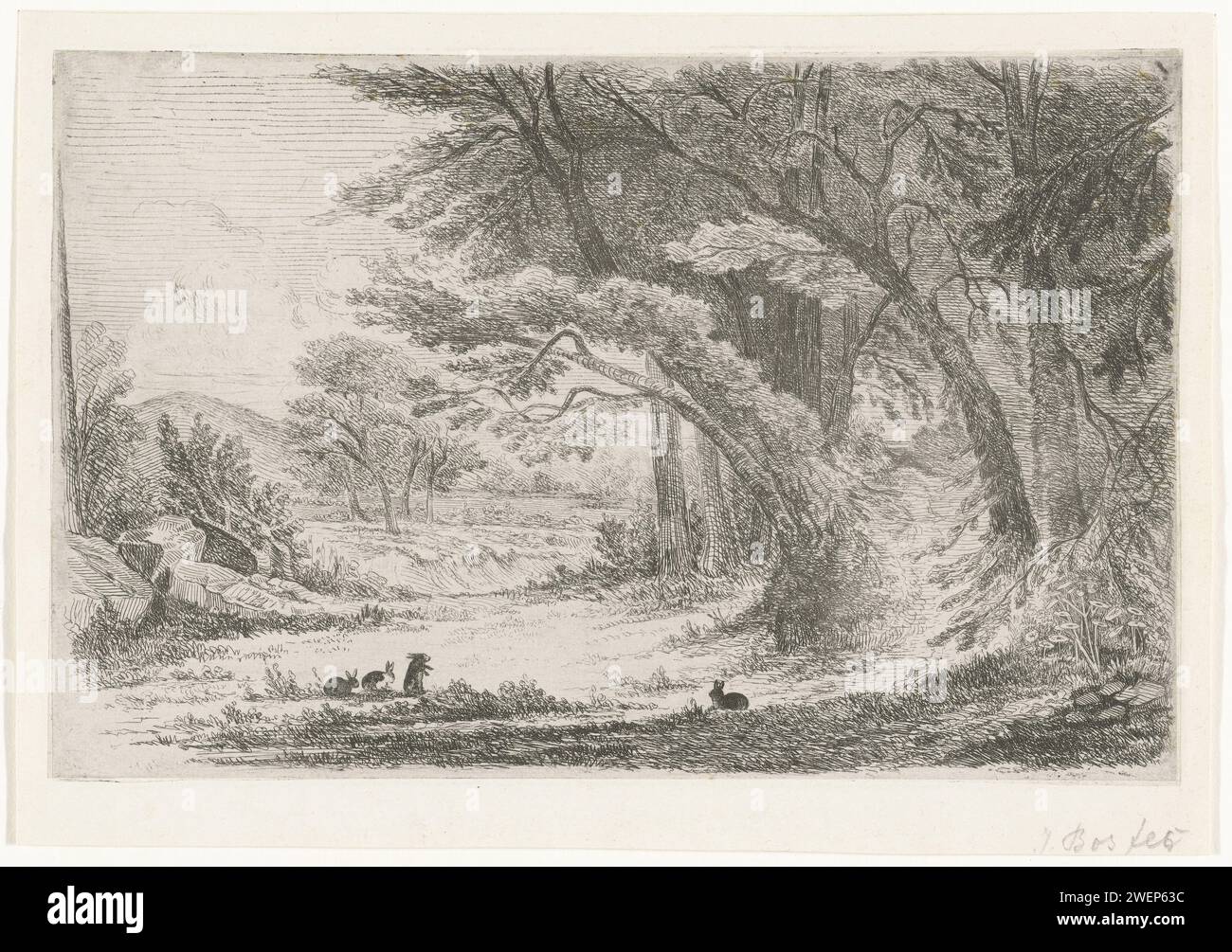 Forest edge with rabbits, Jan Bos Wz., C. 1847 - c. 1897 print paper ...