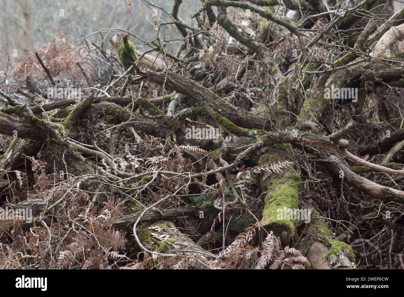 water shortage is a common occurrence at this time water shortage in ...