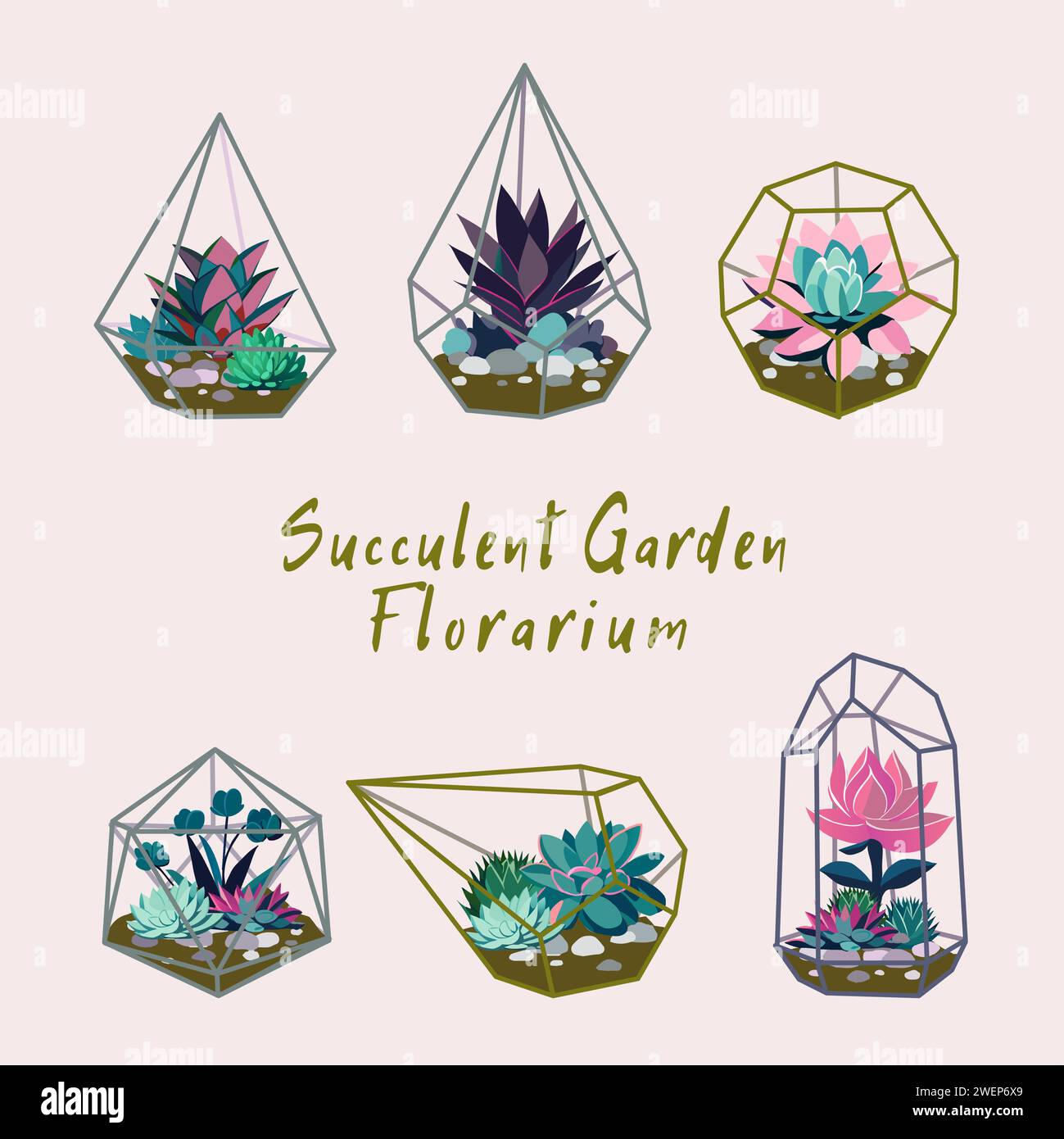Set of beautiful florariums in cartoon style. Vector illustration of a ...