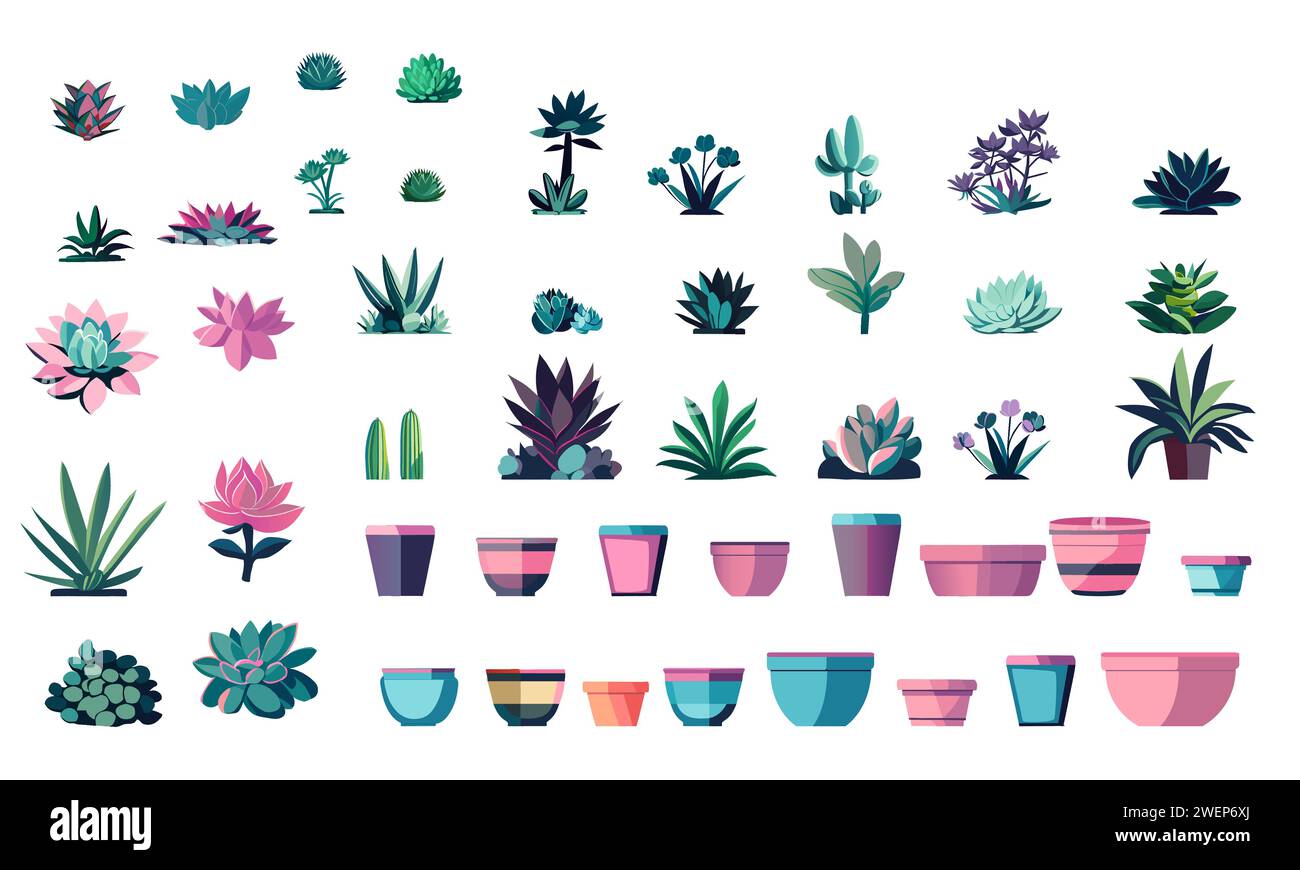 Set of beautiful succulents in cartoon style. Vector illustration of ...