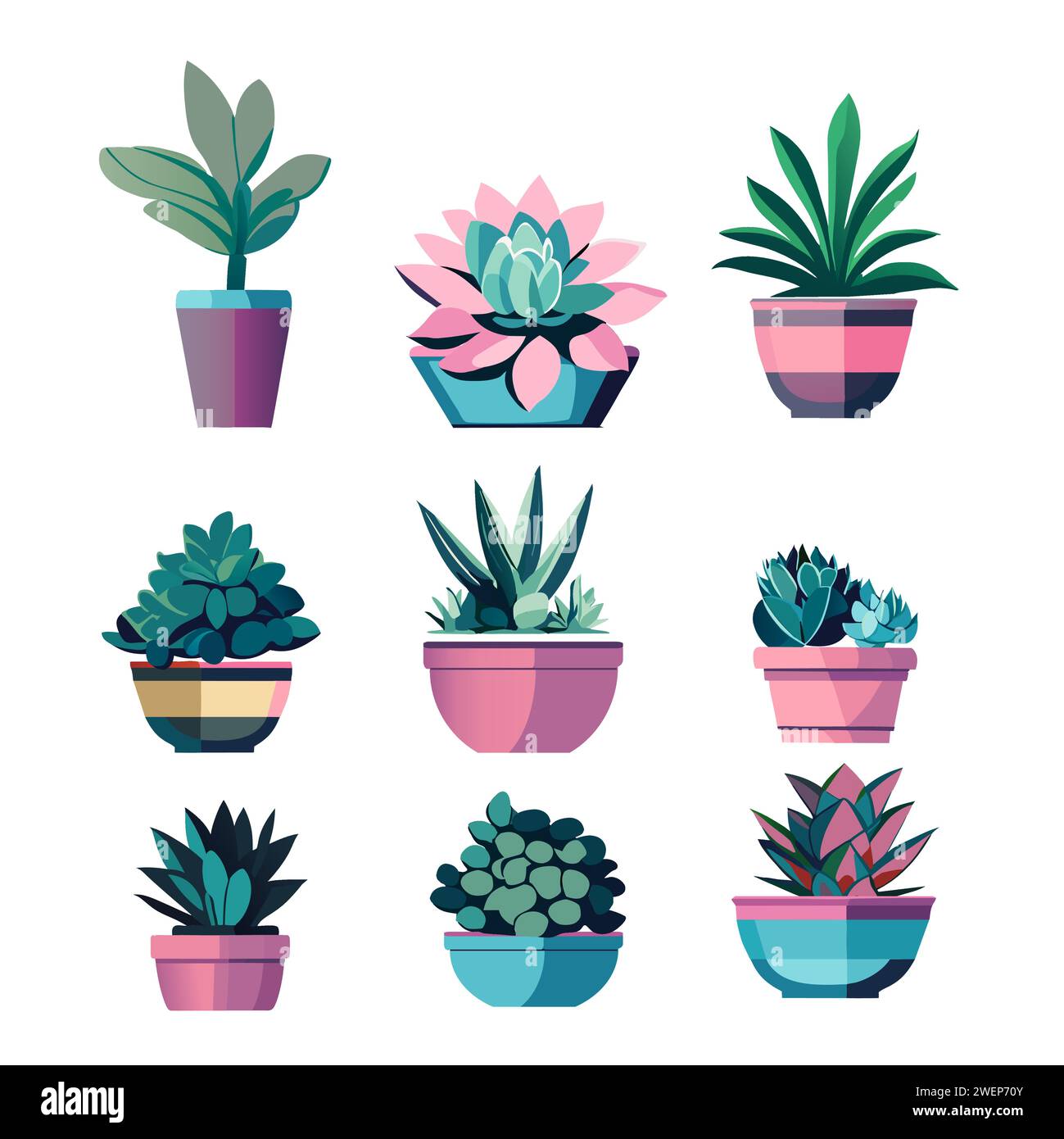 A set of succulents for the home. Fashionable indoor plants for home ...