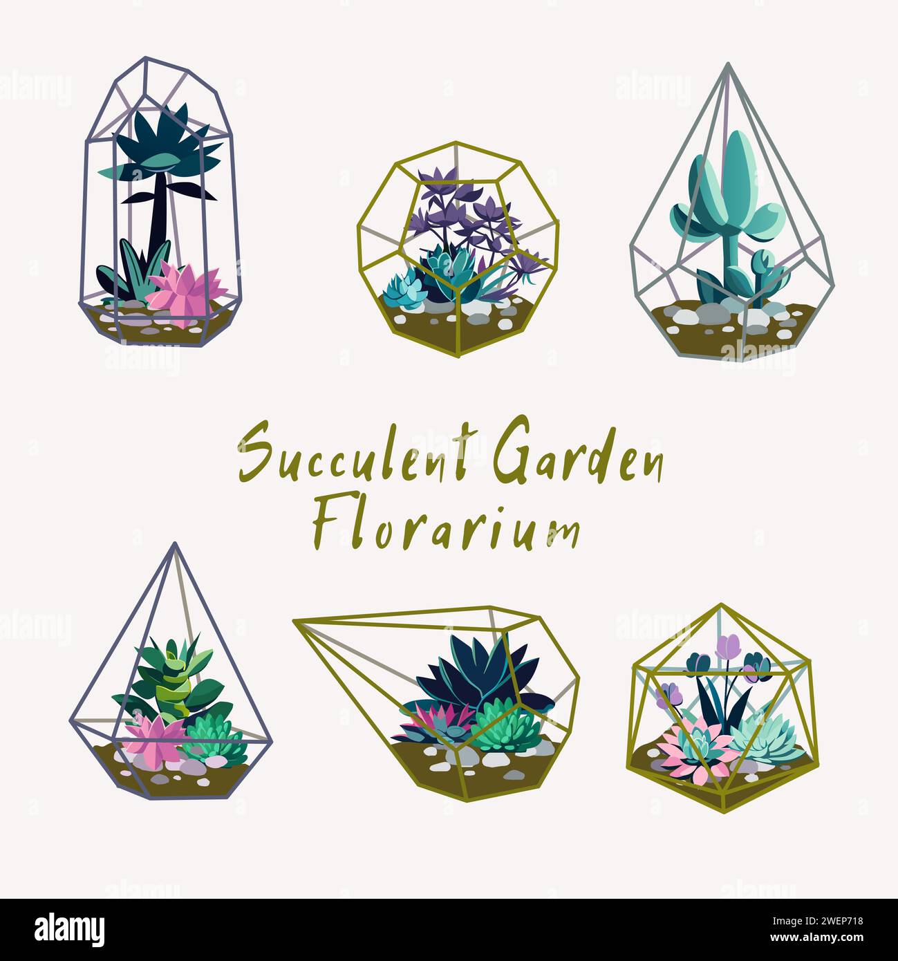 Set of beautiful florariums in cartoon style. Vector illustration of a ...