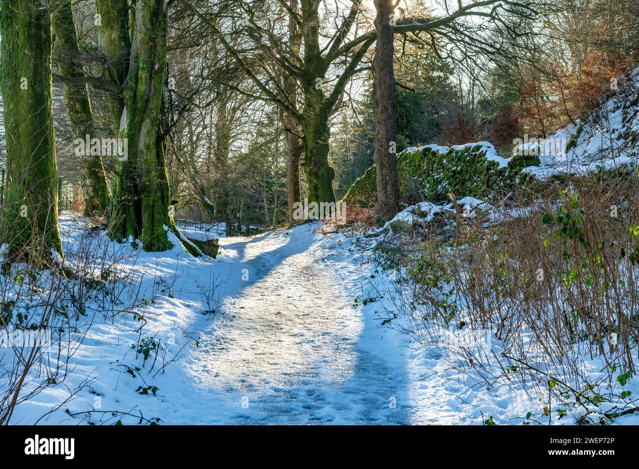 Grasmere walks in the snow, Lake District National Park . UK Stock ...