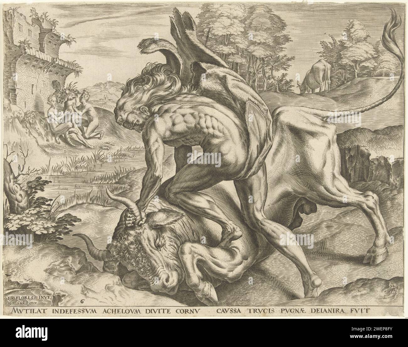 Oeneus hercules breaks hi-res stock photography and images - Alamy