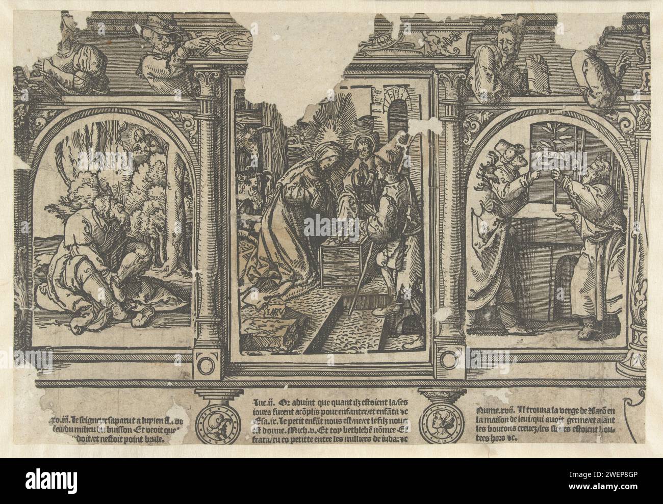 The worship by a shepherd, burning Braambos and the flowering staff of ...