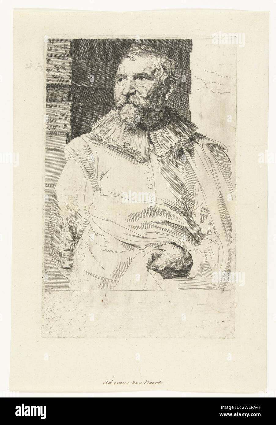 Portrait of Adam van Noort, Anthony Van Dyck, 1630 - 1632 print paper ...