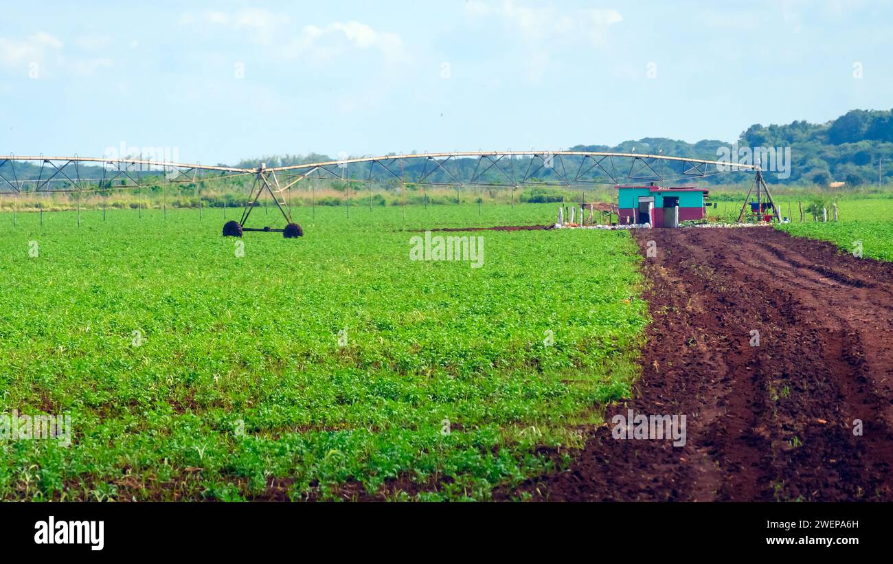 Agriculture farm with irrigation system, matanzas, cuba Stock Photo - Alamy