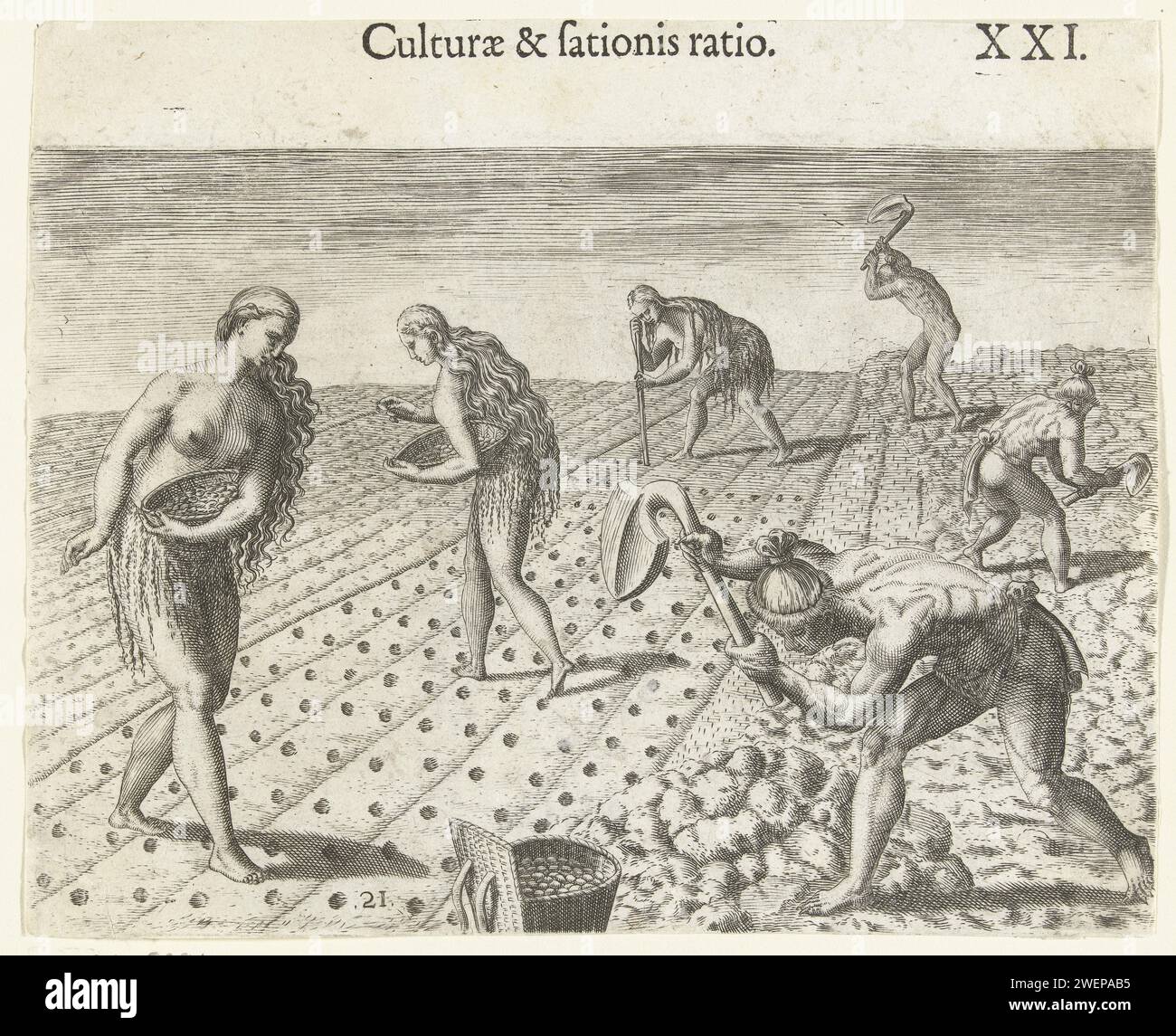 Agriculture with original inhabitants of America, Theodor de Bry, after ...