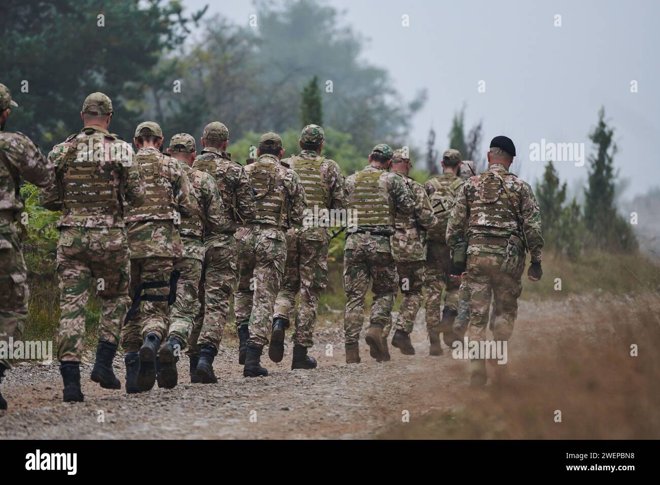 An elite military unit, led by a major, confidently parades through ...