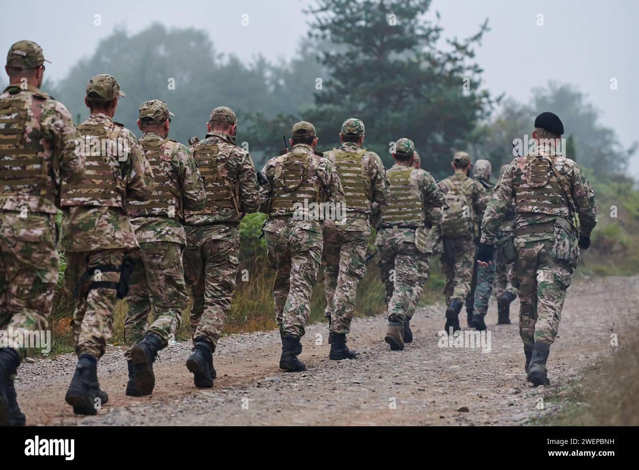 An elite military unit, led by a major, confidently parades through ...