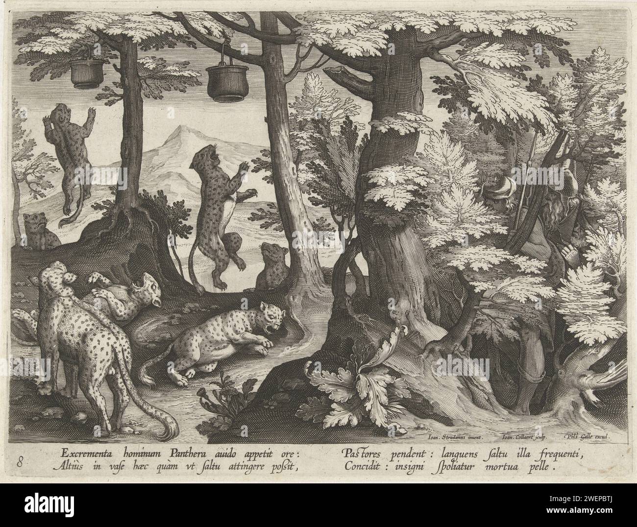 1598 cc hi-res stock photography and images - Alamy