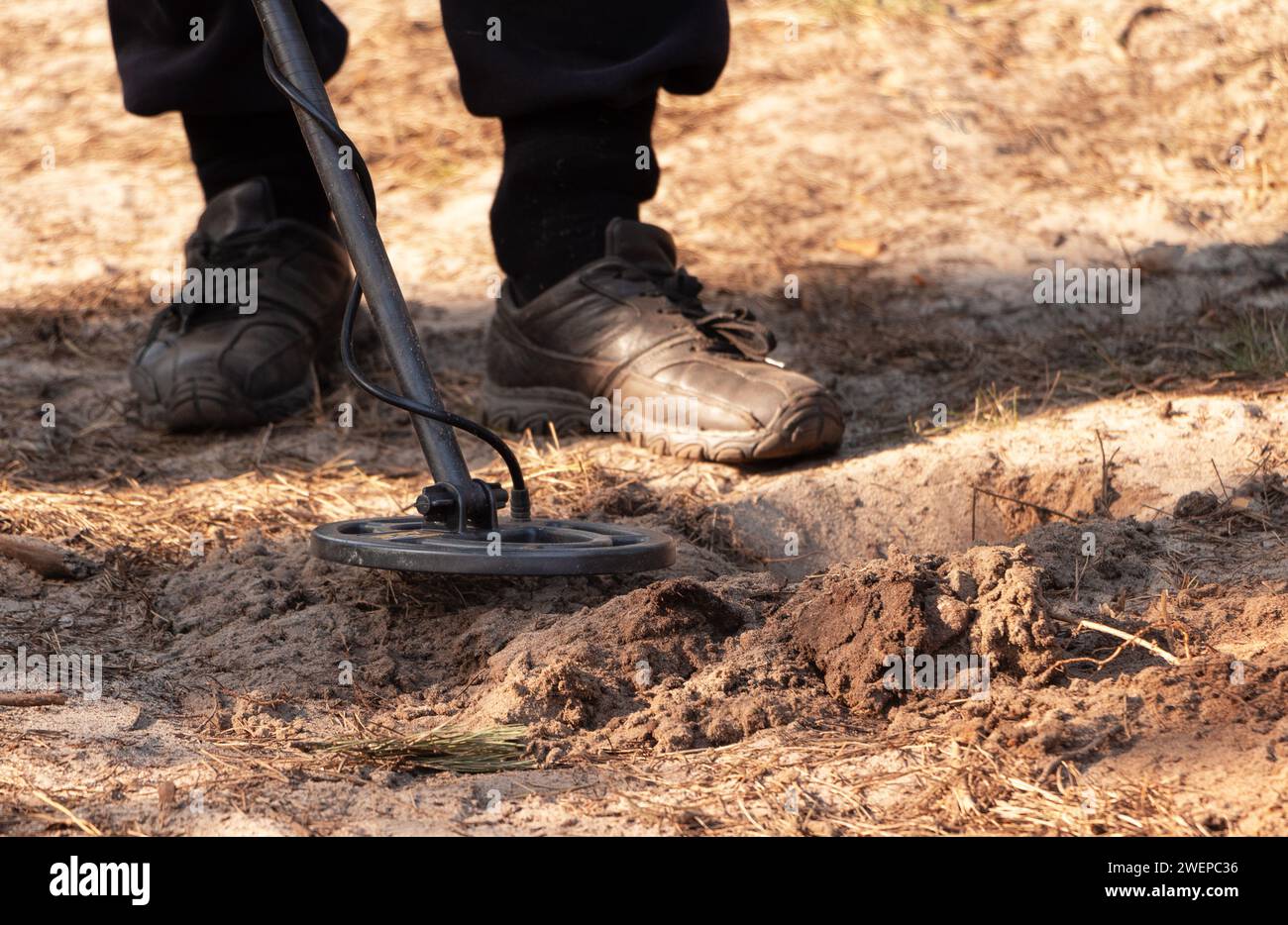 Metal detector ring spade hi-res stock photography and images - Alamy