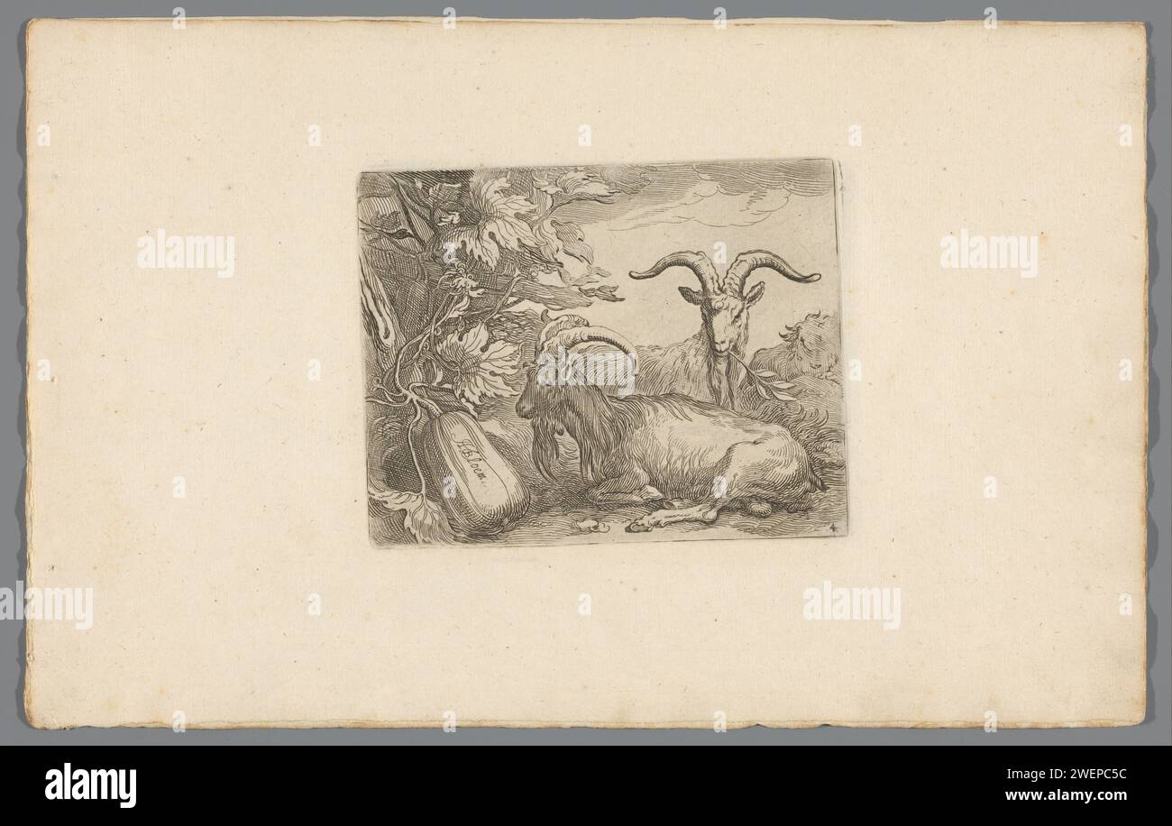 1717 1732 hi-res stock photography and images - Alamy