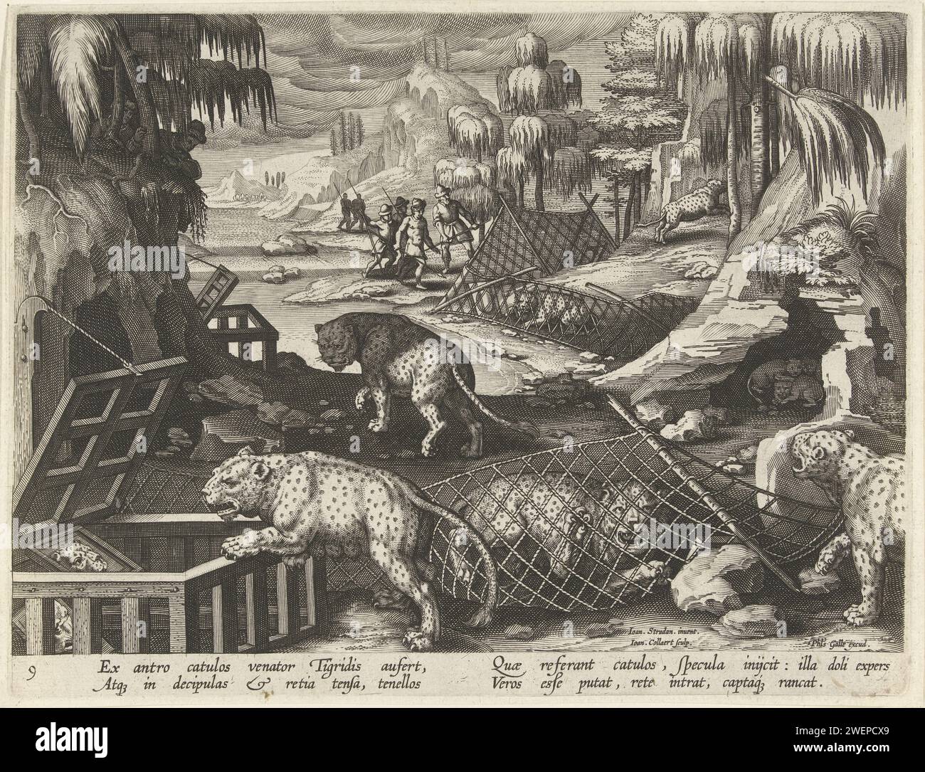 Fox luring hi-res stock photography and images - Alamy